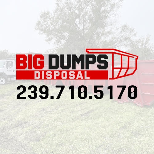 Big Dumps Disposal - Dumpster Rental Winter Haven, FL